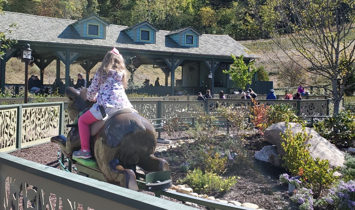 Dollywood 2019 Trip Report: Part 1 Wildwood Grove & Dragonflier ...