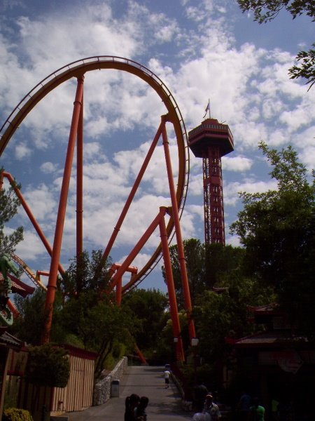 Tatsu @ Six Flags Magic Mountain | Coaster Reviews – Coaster Critic