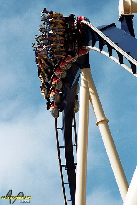 Montu @ Busch Gardens Tampa | Coaster Reviews – Coaster Critic