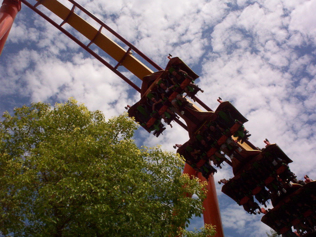 Tatsu @ Six Flags Magic Mountain | Coaster Reviews – Coaster Critic