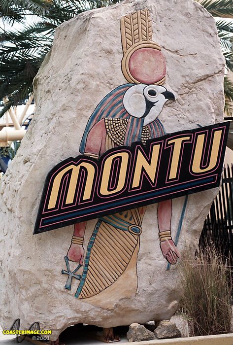 Montu @ Busch Gardens Tampa | Coaster Reviews – Coaster Critic